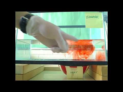 Thermohaline Currents