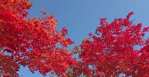 Video by 경북 김 on Pexels