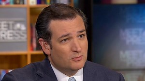 Cruz: Reid wants to use 'brute political force' to fund Obamacare