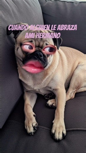 12 de febrero de 2026