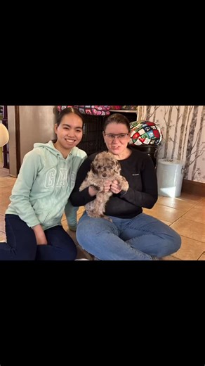 Gotcha Day for Kami and Ruffles Ladybug litter ♥️ ladybug 🐞 #yycdoodles #calgary #edmonton #reddeer #fortmac | Ooodles of Doodles