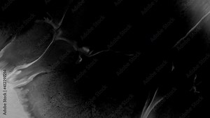 Drops Transition on Black Background 4k Footage Ink Footage Transition White Ink Drops Falling on Black Background. Liquid abstractions. Runs, Blots. Ink effect, transparent, Abstract ink splatter tra