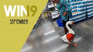 WIN Compilation September 2019