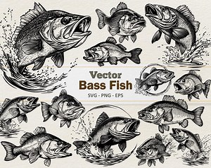 Vector Bass Fish Clipart - Line Art Digital Illustration - Largemouth Bass SVG PNG - Commercial Use - Etsy