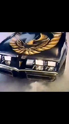 When I first saw a Trans Am in Smokey and the Bandit, I was hooked. I never owned one, but damn I want one.🤩 •”PONTIAC FIREBIRD TURBO TRANS AM COMMERCIAL” (1980) #transam #smokeyandthebandit #1980 #pontiac #transamsofinstagram #car #cars #carshow #cargram #carsofinstagram #instacars #instacar #80scars #ride #rides #80snostalgia #the80s #carsdaily #carspotter #amazingcars | The_80s_90s_Guy