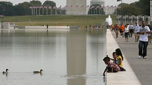 Lincoln Memorial Reflecting Pool to be drained after 80 ducks die - East Idaho News