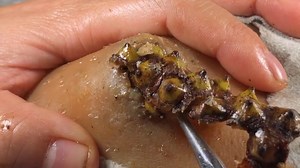 #viralreels #trending #amazing #fyp | Erna wati