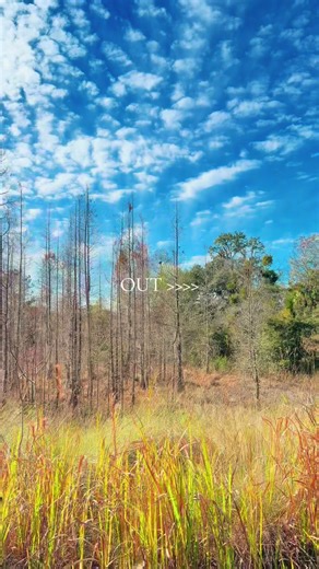 #fyp #foryou #backroads #country