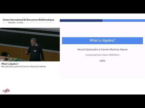 Carmen Martínez Adame & Niccolò Guicciardini: What is algebra? The contested answers of historical