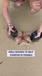 1.2M views · 3.1K reactions | Thank you for saving this cutie | 7-Second Riddles | Facebook