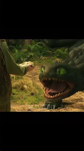 TOOTHLESS !! ☠️☠️☠️ #howtotrainyourdragon #howtotrainyourdragonliveaction #4k