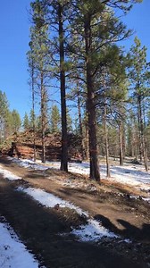 11K views | Another load heading to the mill -- Pyramid Lumber in Seeley Lake | Discover Bitterroot National Forest | Facebook