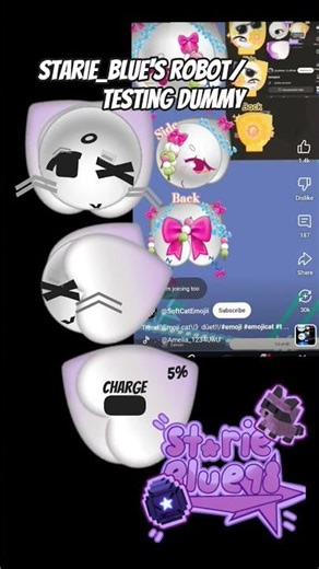 Using my robot/testing dummy