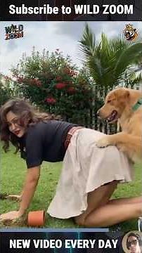 Jaw-Dropping Animal Moments Uncover the Unseen!