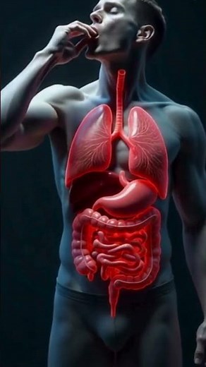 3D Realistic View: How a Capsule Travels Inside Your Body