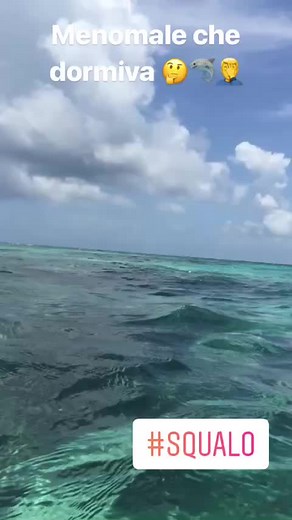 Natalegatto8⚽️ su TikTok