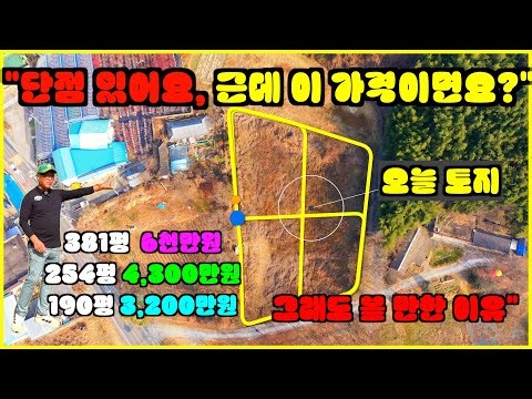 No.561 : 단점 확실, 장점도 확실한 땅 대구 40분 762평 가성비 토지3천만원대 주말 텃밭 시작하기 좋은 청도 각면 분할매수 토지#청도땅매매 #청도토지급매 #청도부동산
