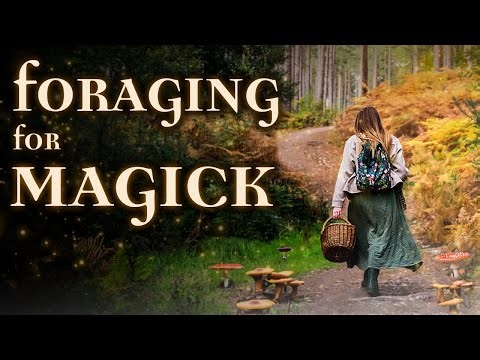 Foraging for Witchcraft: Autumn Edition