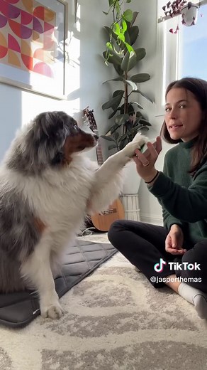 Learning How to Dance with Jasper: Fun Dance Videos