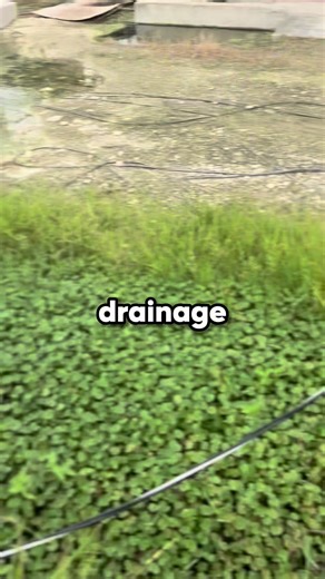 Light post osts in the road, dirty water everywhere, mosquitoes taking over this is what Segree Street has been dealing with. It can’t stay like this. We’re rolling up our sleeves and getting to work to fix Segree Street, and we want you to see the real change happen. #ForThePeople #JulianChang #Westmoreland #Savlamar
