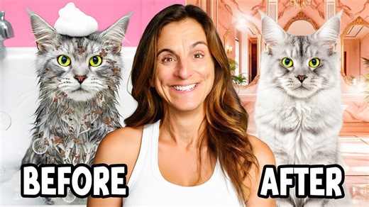 Bathing young kittens requires precision to avoid stress or harm