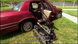 Snake Documentary The Most Dangerous Snake Discovery Channel Documentary HD - Best Snake Documentar