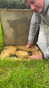 Expert witness commission….. Ring and spot beds, no bonding mortar and a loose base material…… #landscapingexpert #landscapers #pavingexpert #patios #landscapersofinstagram #landscape #contractorissues #ExpertWitness | Gareth Wilson Garden & Landscaping Consultant