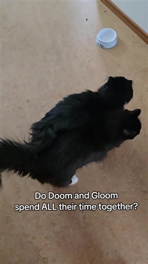 Do Doom and Gloom Spend All Their Time Together?
