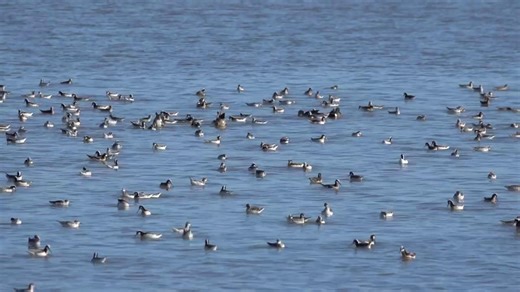 383K views · 6.8K reactions | You spin me right 'round, baby, right...