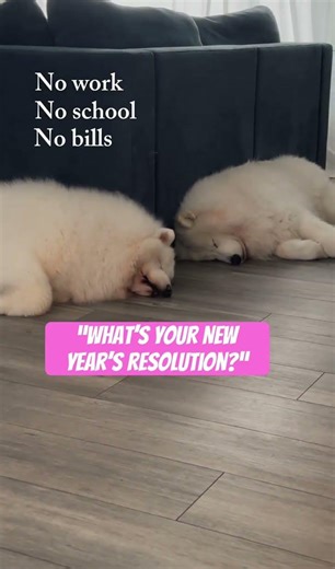 Simba and Leo set goals for 2026