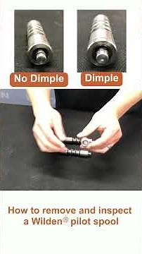How to remove and inspect a Wilden pilot spool