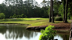 154 reactions · 45 shares | Join our Winter Membership program and experience unlimited golf at a fantastic course for a great price. PLUS we are one of the few courses to offer wall-to-wall green course conditions this winter. Click to learn more. | Eagle Nest Golf Club SC | Facebook