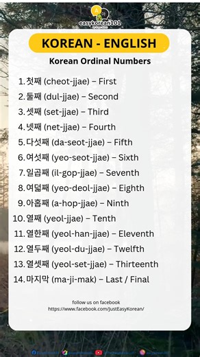 Level up your Korean! 🔥 Learn ordinal numbers and sound like a native! 🇰🇷✨ 하나, 둘, 셋… but make it FIRST, SECOND, THIRD! 👑 #LearnKorean #KoreanNumbers #StudySmart | EasyKorean101