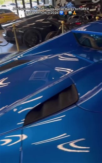 Kindly WhatsApp ☎️: 060 122 0349 to get Automated with the latest and most accurate robot update today.🛜🤖📲 #forextrading #entrepreneur #forexlifestyle #success #forexautomation