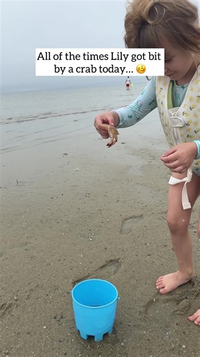 No crabs were harmed! 😅 It was just a little tap! | crabs