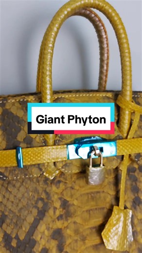 Yellow Giant Phyton 😍💛 Tas sultan handmade premium asli dari kulit reptile, yuk checkout sekarang jangan sampai ketinggalan ya koleksi dari Fugi House 😍 #pythonbag #taskulitasli #tasbiawak #tasphyton #tascroco #exotic #exoticleather #crocobag #exoticskin #tasbuaya #taskulit #produkindonesia #produklokal #fugihouse #fugihouse8 #CapCut
