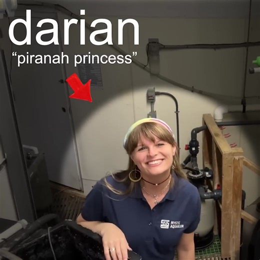 22K views · 122 reactions | How Dirty Can It Be? | Ryan Trahan | Facebook