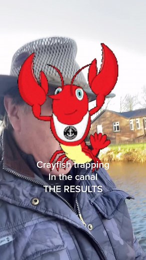 #Trapping #crayfish in the #canal #fish #fishing #netting #food #cooking #fyp