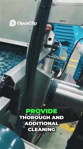 Blueberry Cleaning Process Water Spray Explained!