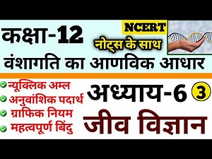 12th Biology chapter 6 | NCERT class 12 Biology chapter 6 | molecular basis of inheritance | part-3
