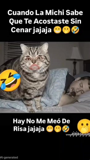 1.2M views · 15K reactions | Ama a tu dueño Karen v: | August Style | Facebook