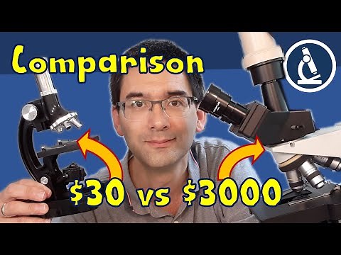 TOY Microscope v.s. "REAL" Microscope 🔬 Why magnification is not everything