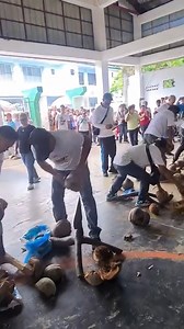 907K views · 10K reactions | COCONUT RELAY COMPETITION Cocolympics, 3rd District Elimination Catanauan, Quezon Office of the Provincial Agriculturist : OPA Quezon FITS Center Agriculture Office of Catanauan-FITS Center #nyogyuganfestival2023 Local Government Unit of Catanauan | DieT | Facebook