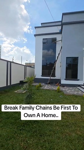 Luminous Property on Reels