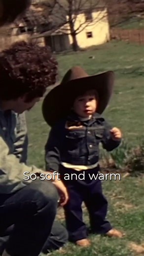 The beautiful words of "Dreamin' Again" from Jim Croce's fourth studio album 'Life and Times'.