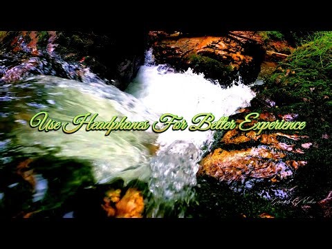 Virtual Forest Bathing: Immersive Stream Soundscapes for Deep Relaxation