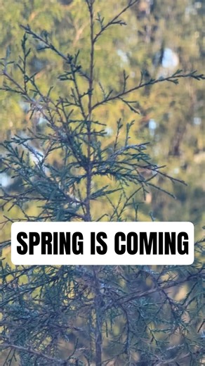 Springtime Is Almost Here!