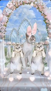 83K views · 904 reactions | Thank you sa lahat ng mga SINGERS/...