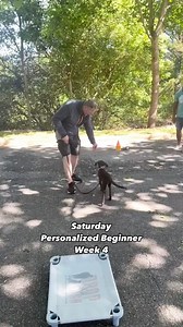 Fantastic job on Week 4 and mastering the ‘come’ command! 🐾 Keep practicing at home. Up next: your Beginner class test! 🎓 #ruckerdogtraining #droptheleash #offleash #offleashlife #boardandtrain #beginnerclass #obedienceclass #basiccommands #sit #place #down #come #wait #take #dogtrainer #dogtrainersofig #dogtraining #puppytraining #trainyourdog #dog #dogs #dogtricks #doglife #dogsofig #dogsofinstagram #cummingga #forsythcountyga #gainesvillega #hallcountyga | Rucker Dog Training
