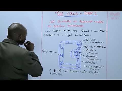 THE CELL-Cell Structure as Observed Under an Electron Microscope